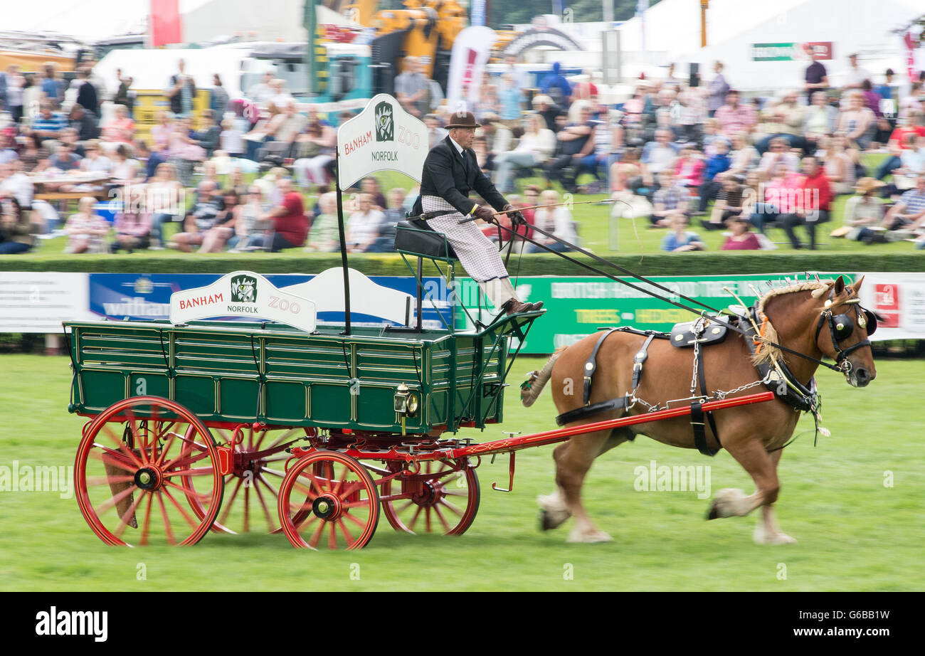 Lincolnshire, UK. 23rd June, 2016. Showers, Dancing JCB Diggers, Horse ...