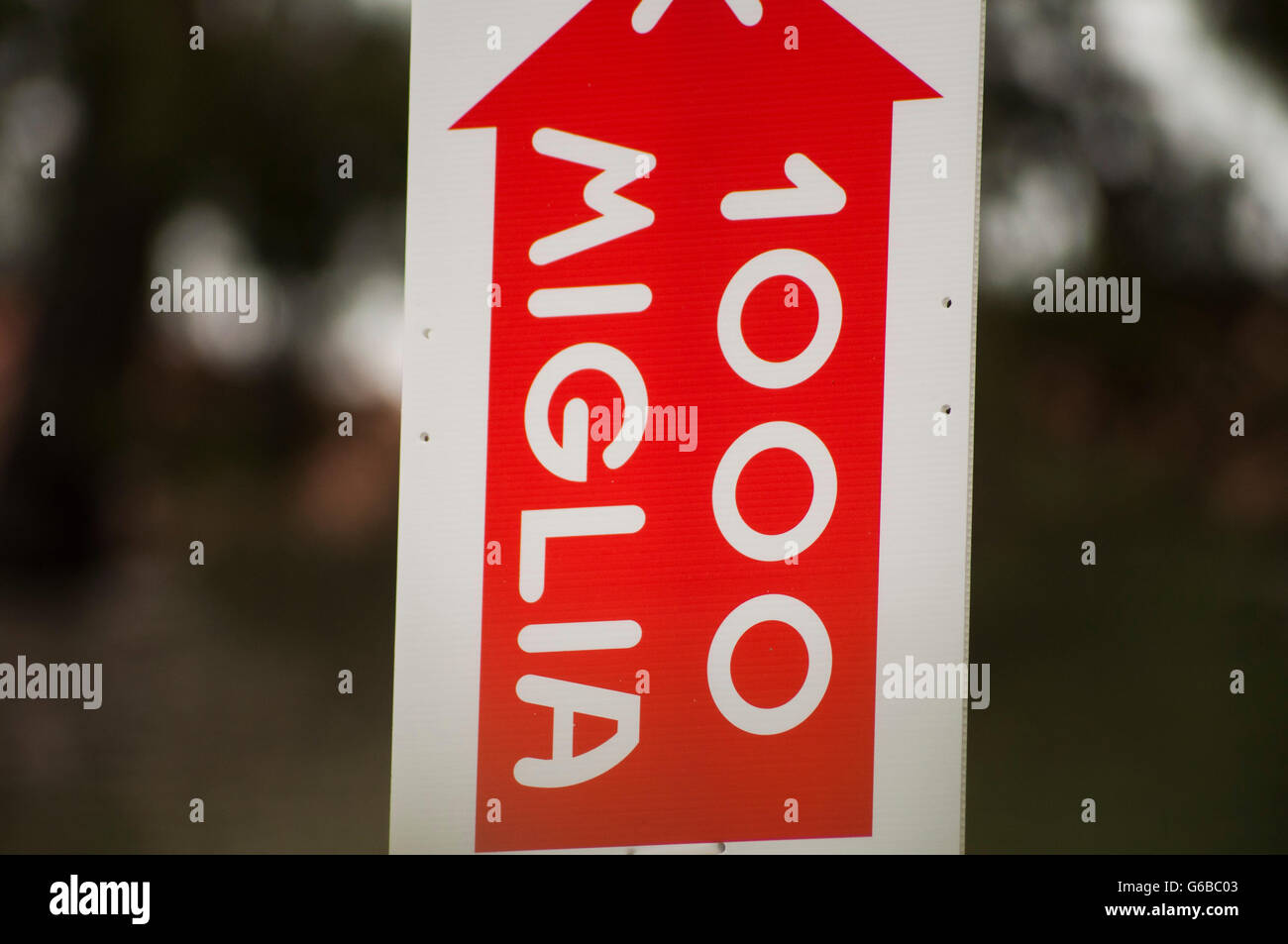 FANO, ITALY - MAY 16: old racing car in rally Mille Miglia 201 4 the ...
