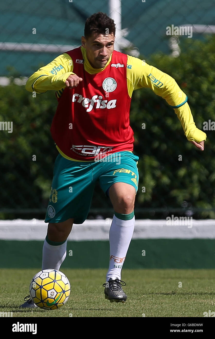 SAO PAULO, Brazil - 06/24/2016: TRAINING OF PALM TREES - Moses, player ...