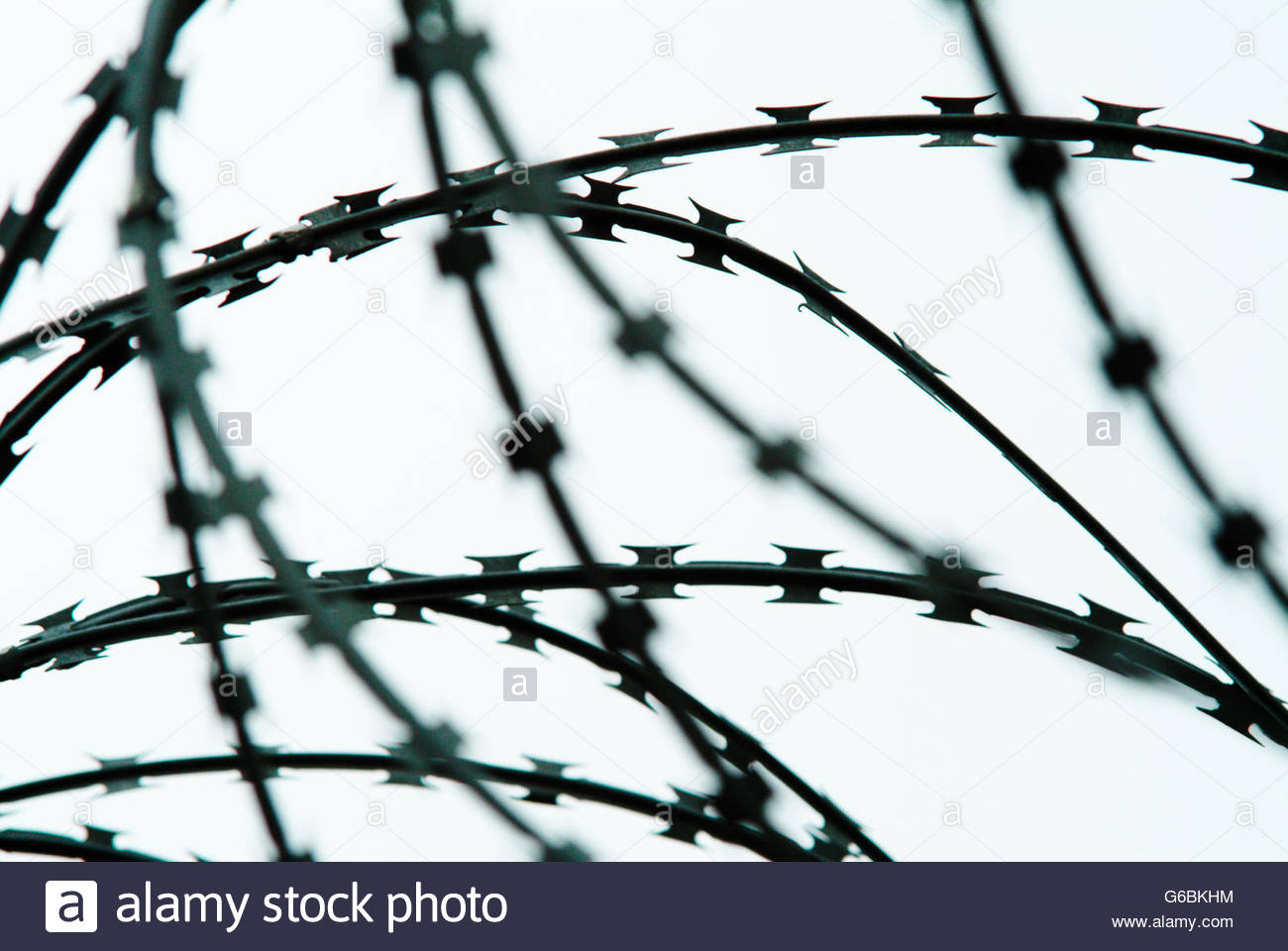 Razor Barb Wire Stock Photos & Razor Barb Wire Stock Images - Alamy