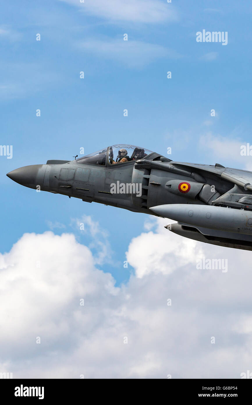 Spanish av 8b harrier hi-res stock photography and images - Alamy
