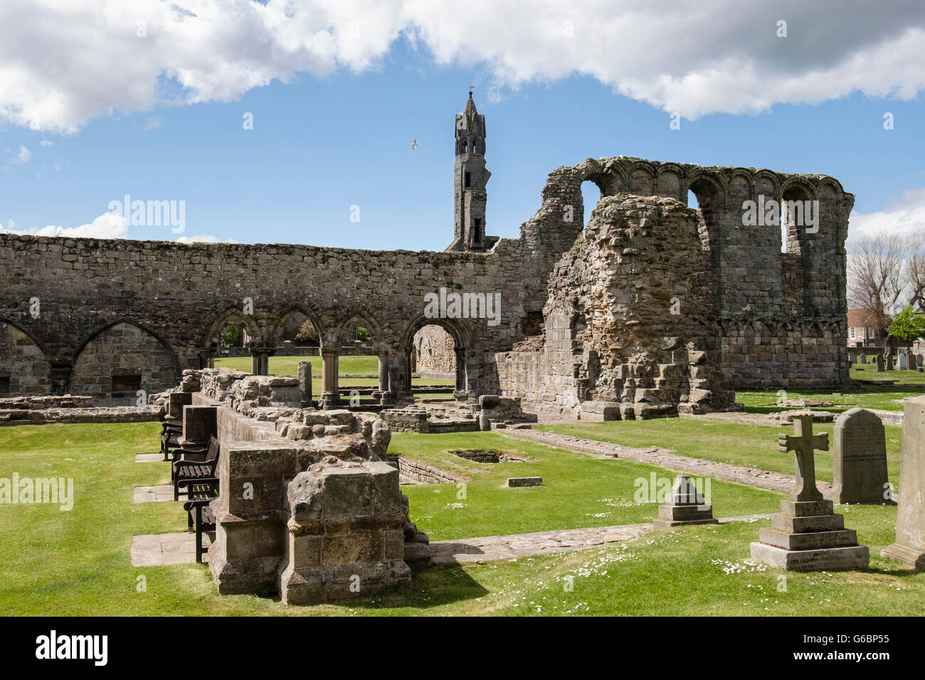 Ruins of St Andrew's cathedral from the grounds. Royal Burgh of St ...