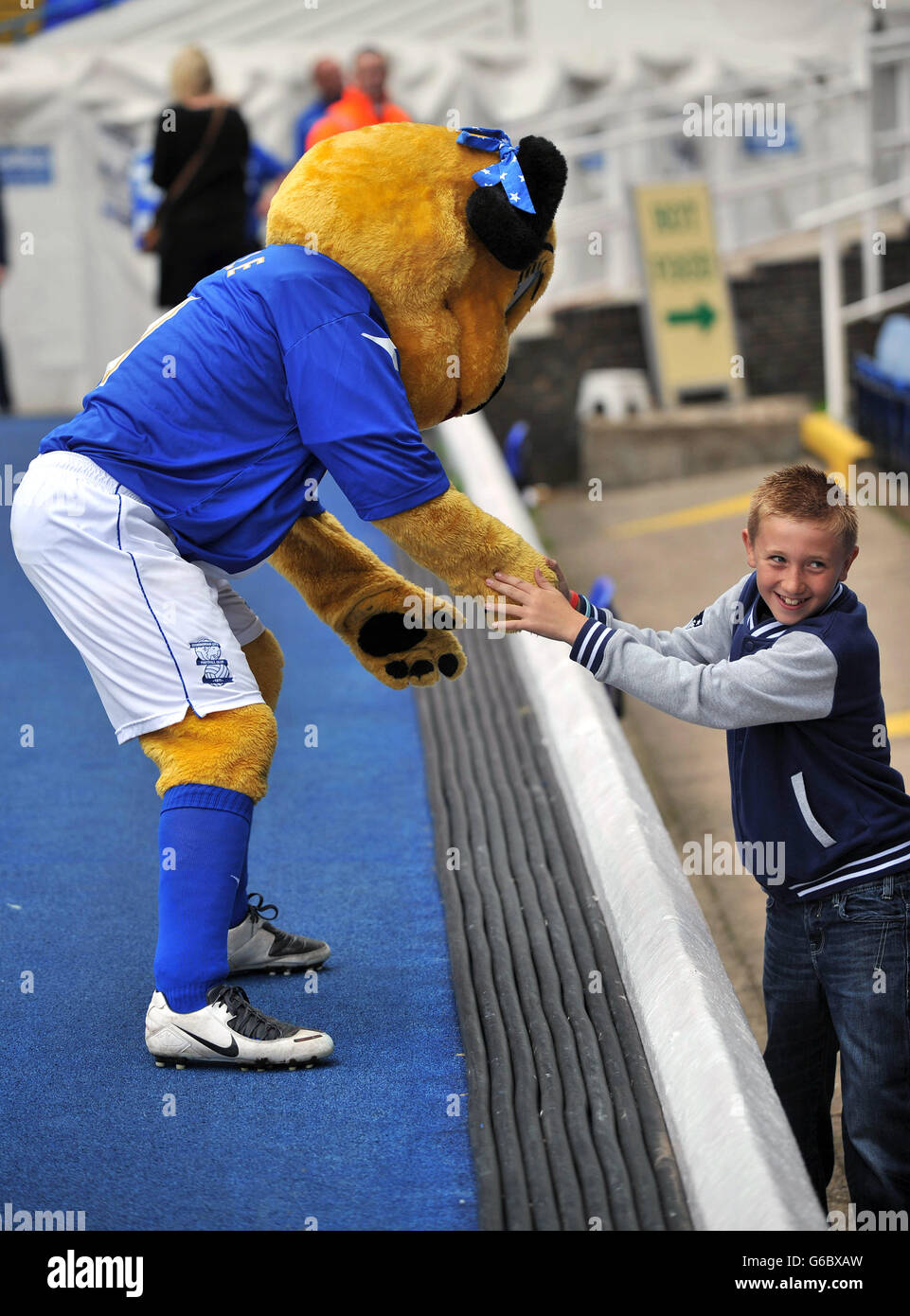 Brighton and hove albion mascot hi-res stock photography and images - Alamy