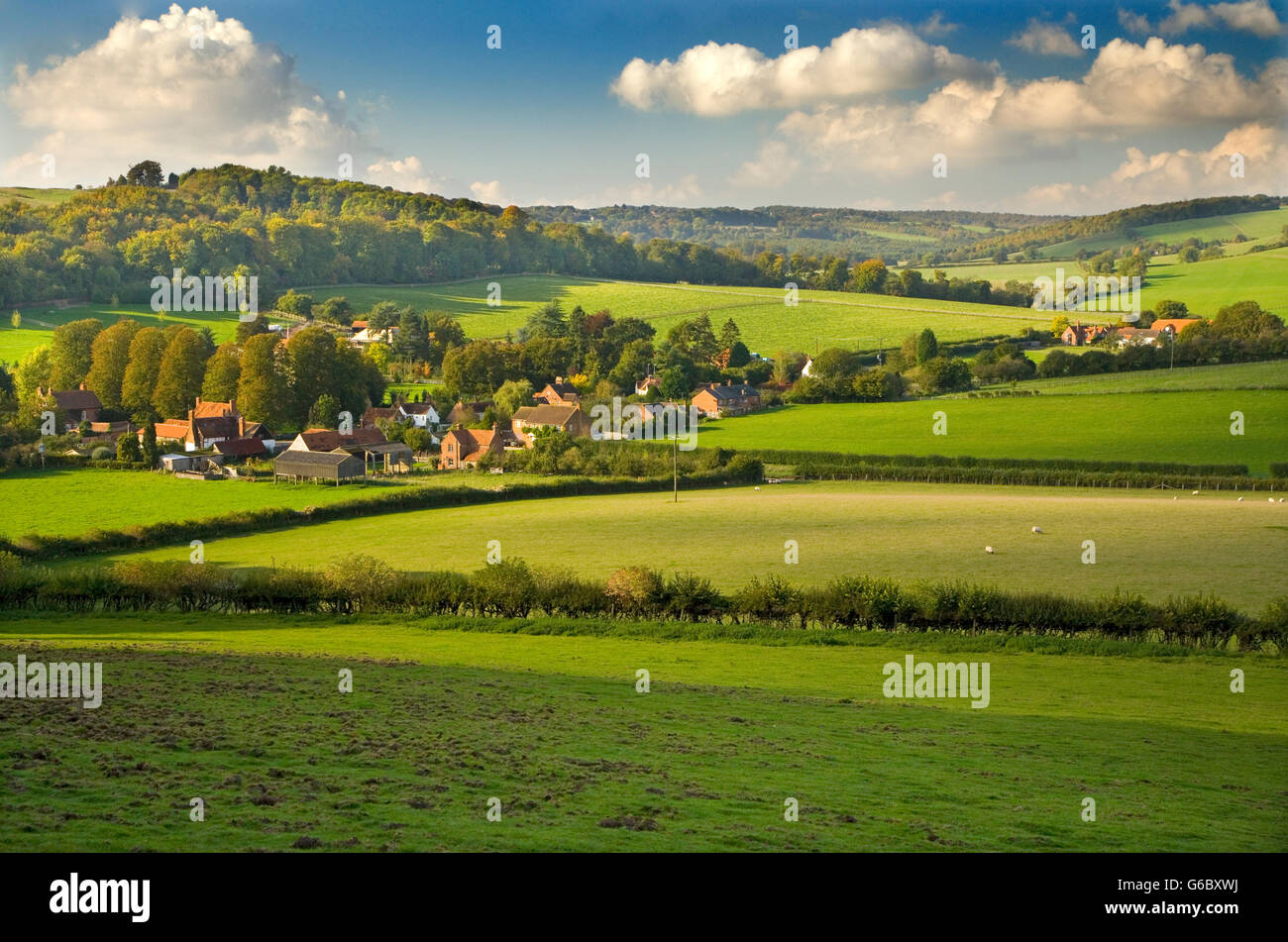 Woods october hi-res stock photography and images - Alamy