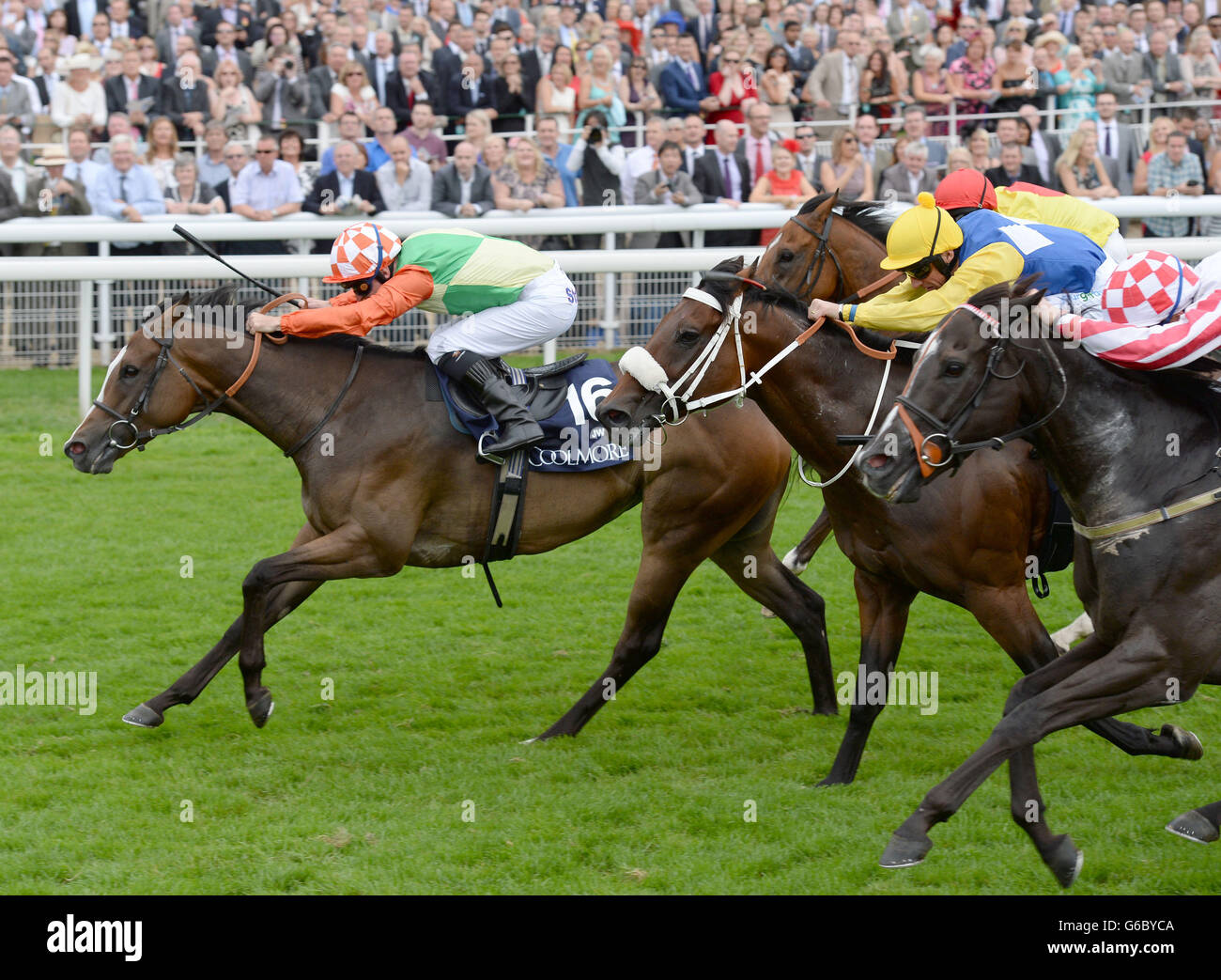 2013 yorkshire ebor festival hi-res stock photography and images - Alamy