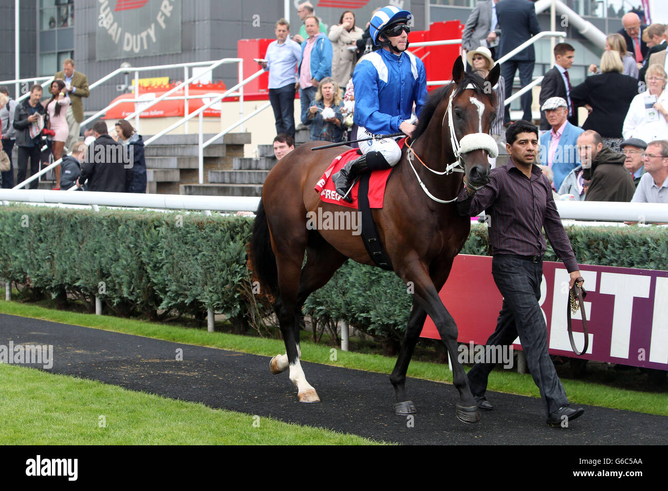 Soft Falling Rain in the Parade ring during the Ladies Day with Meat ...