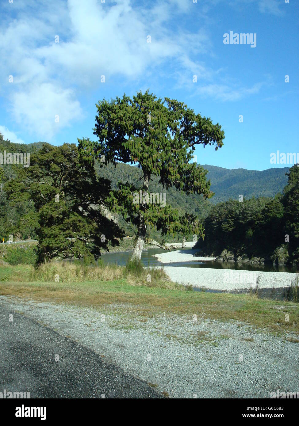 tree and river Stock Photo - Alamy
