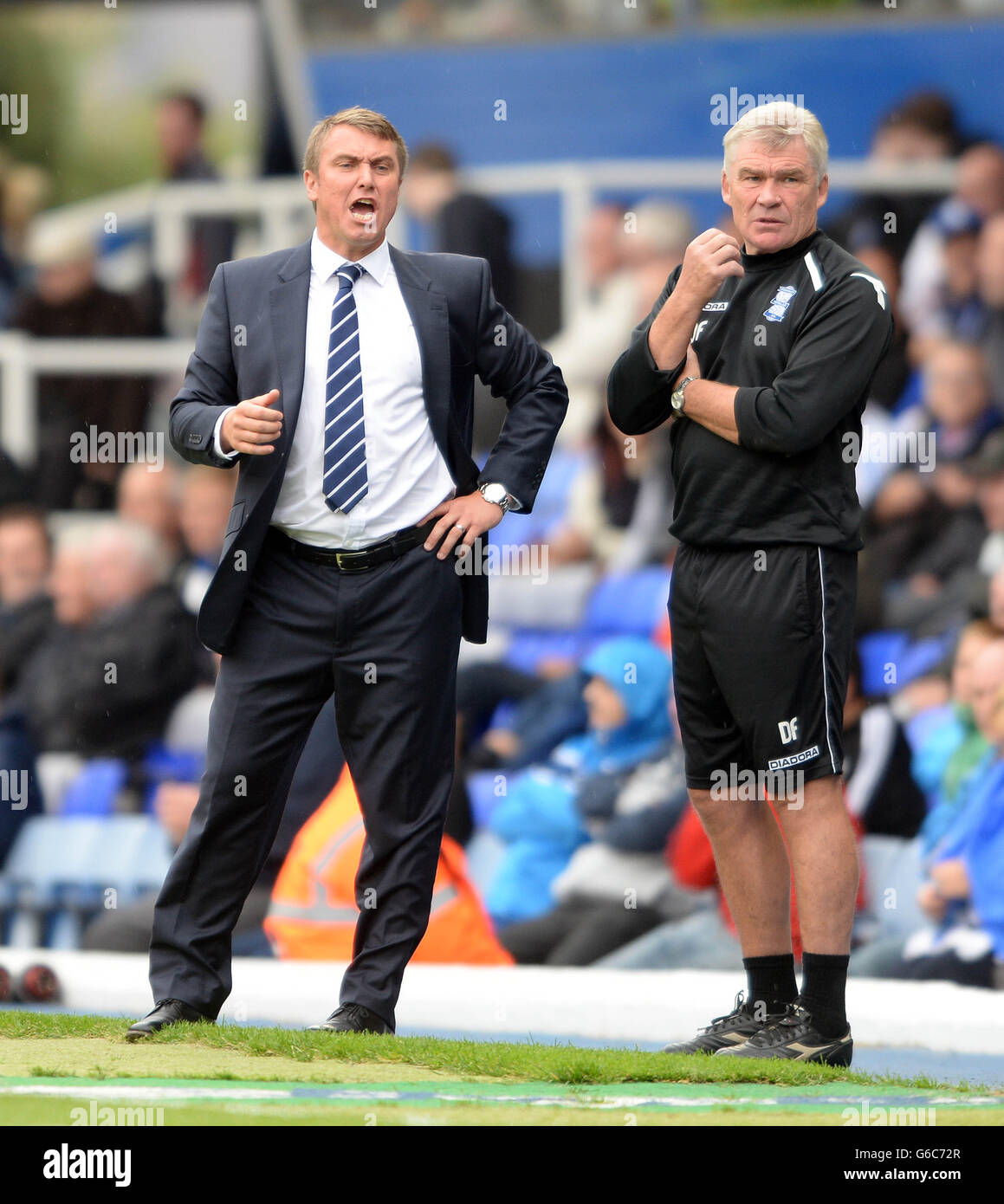 Brighton hove albion first team coach hi-res stock photography and ...