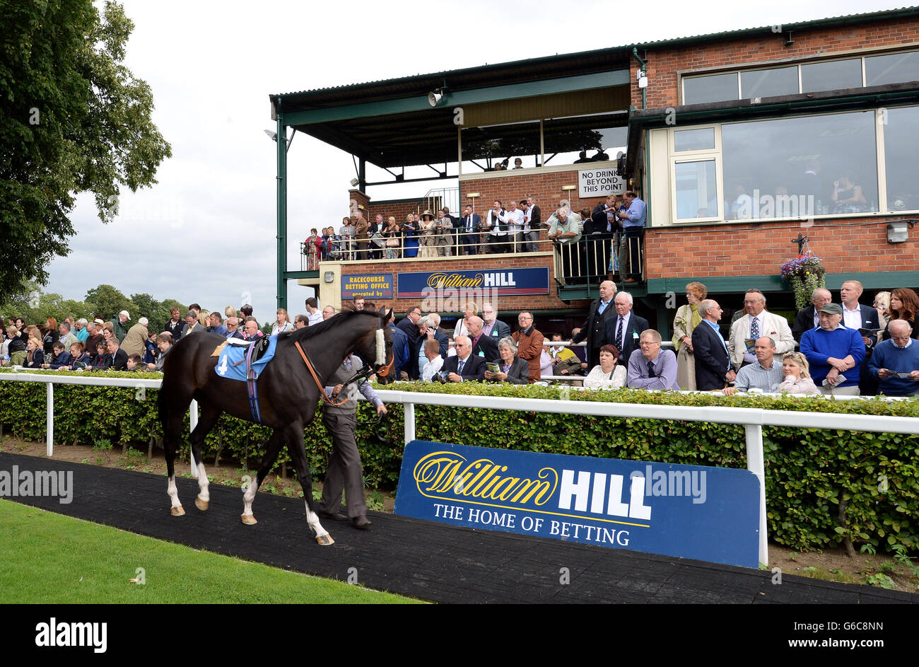 William hill horse racing hi-res stock photography and images - Alamy