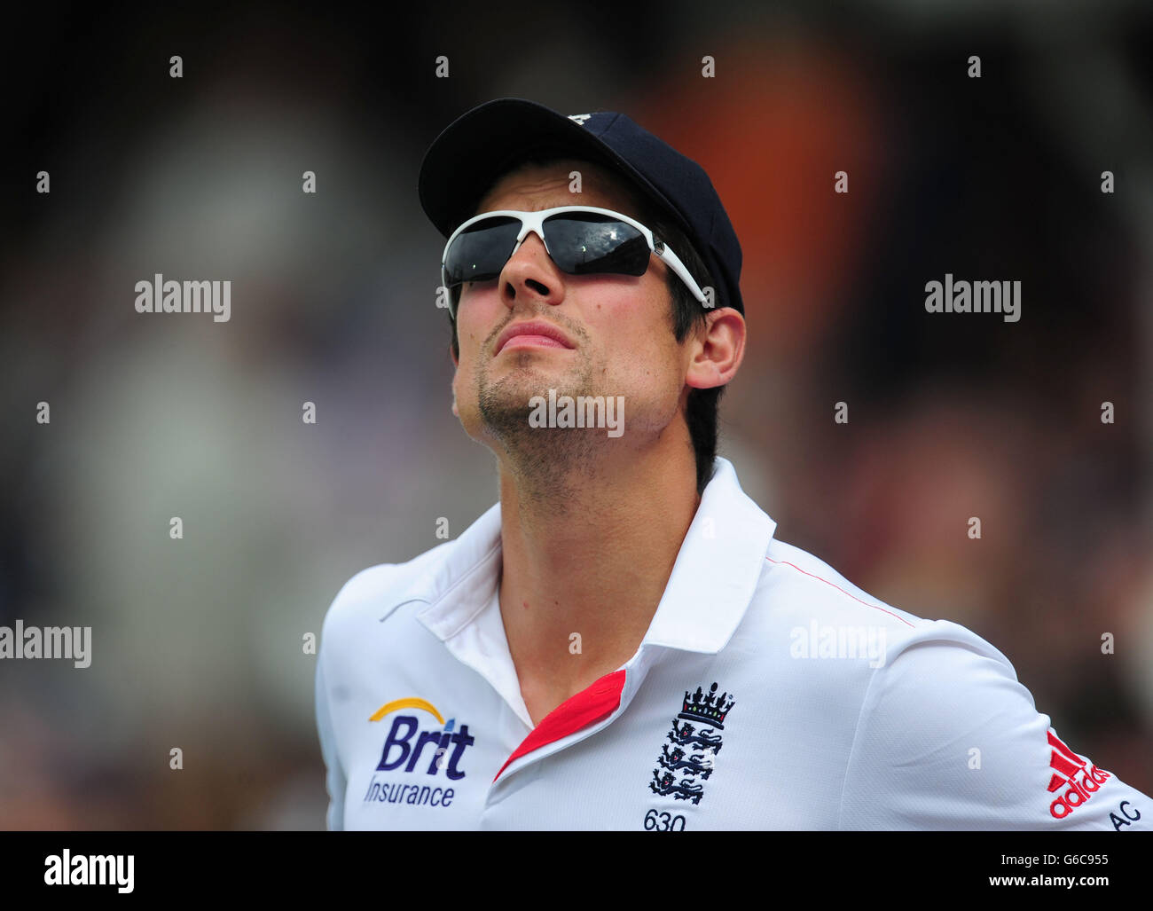 Cricket headshot head shot portrait sunglasses hi-res stock photography ...
