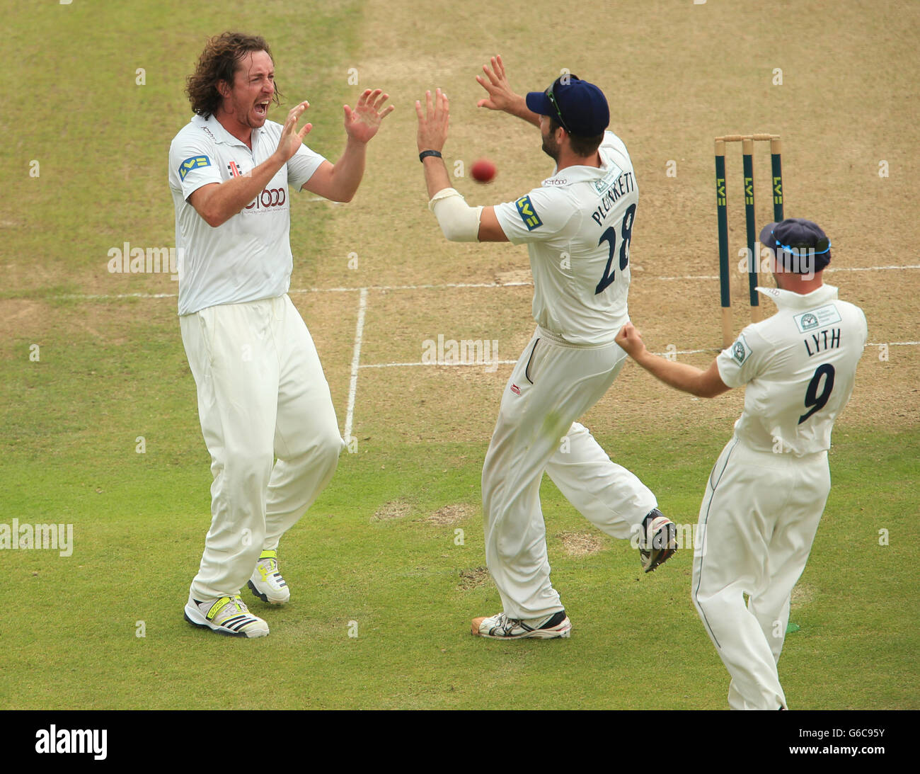 Yorkshire's Ryan Sidebottom celebrates taking the wicket of ...