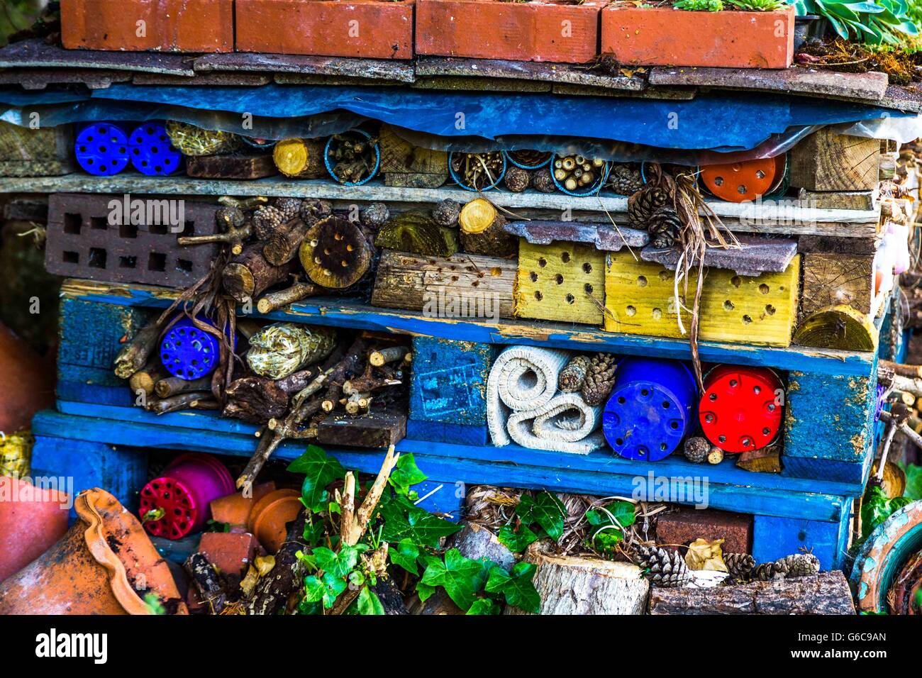 Insect habitat hi-res stock photography and images - Alamy