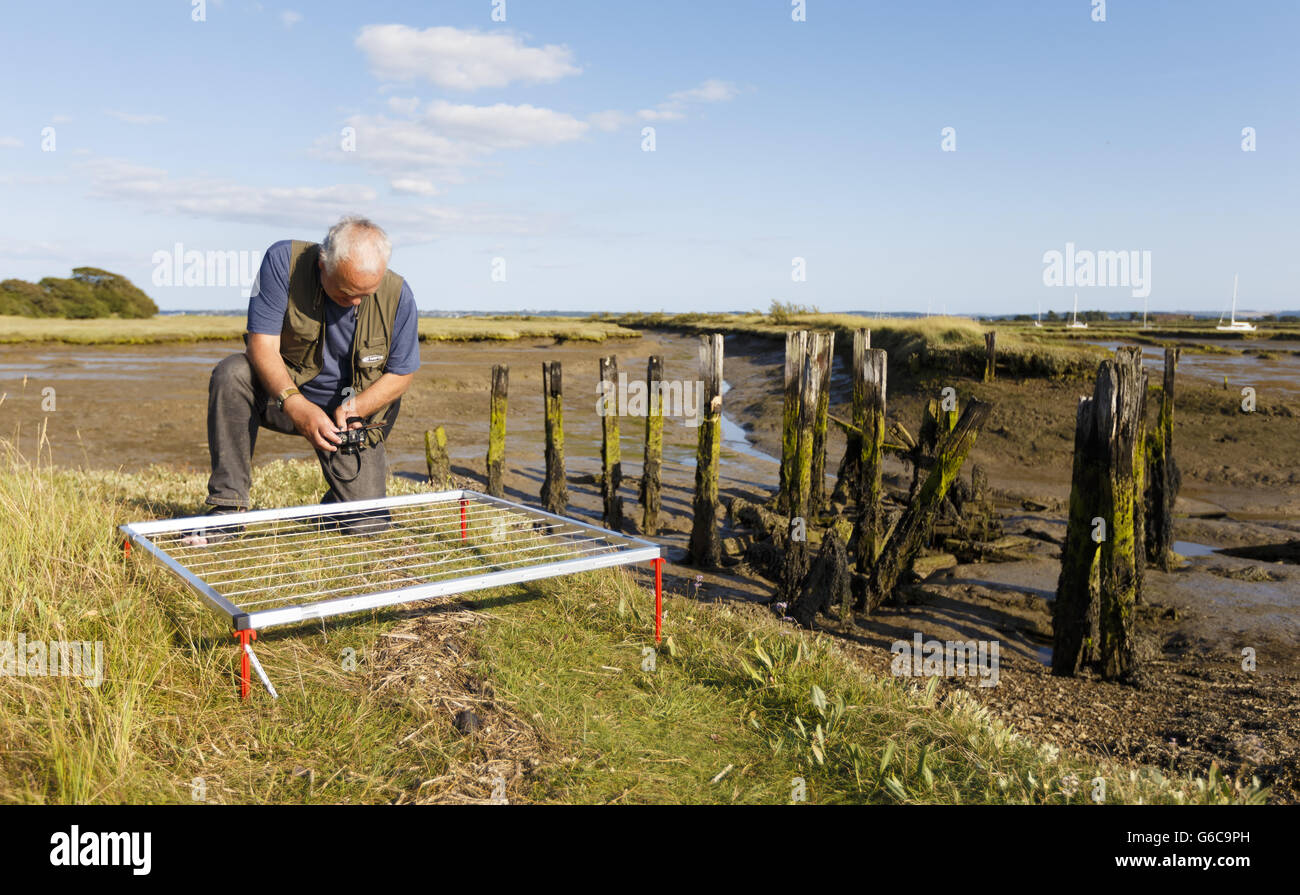 Artist Stephen Turner Stock Photo - Alamy