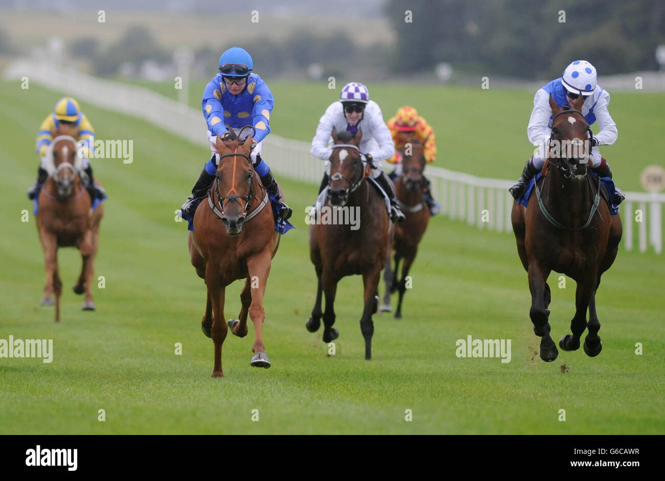 Curragh racecourse hi-res stock photography and images - Alamy