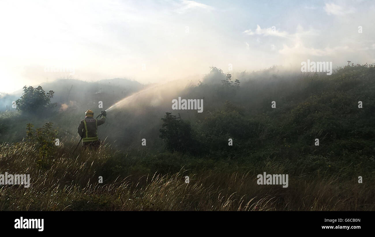 Fire on sand dunes Stock Photo - Alamy