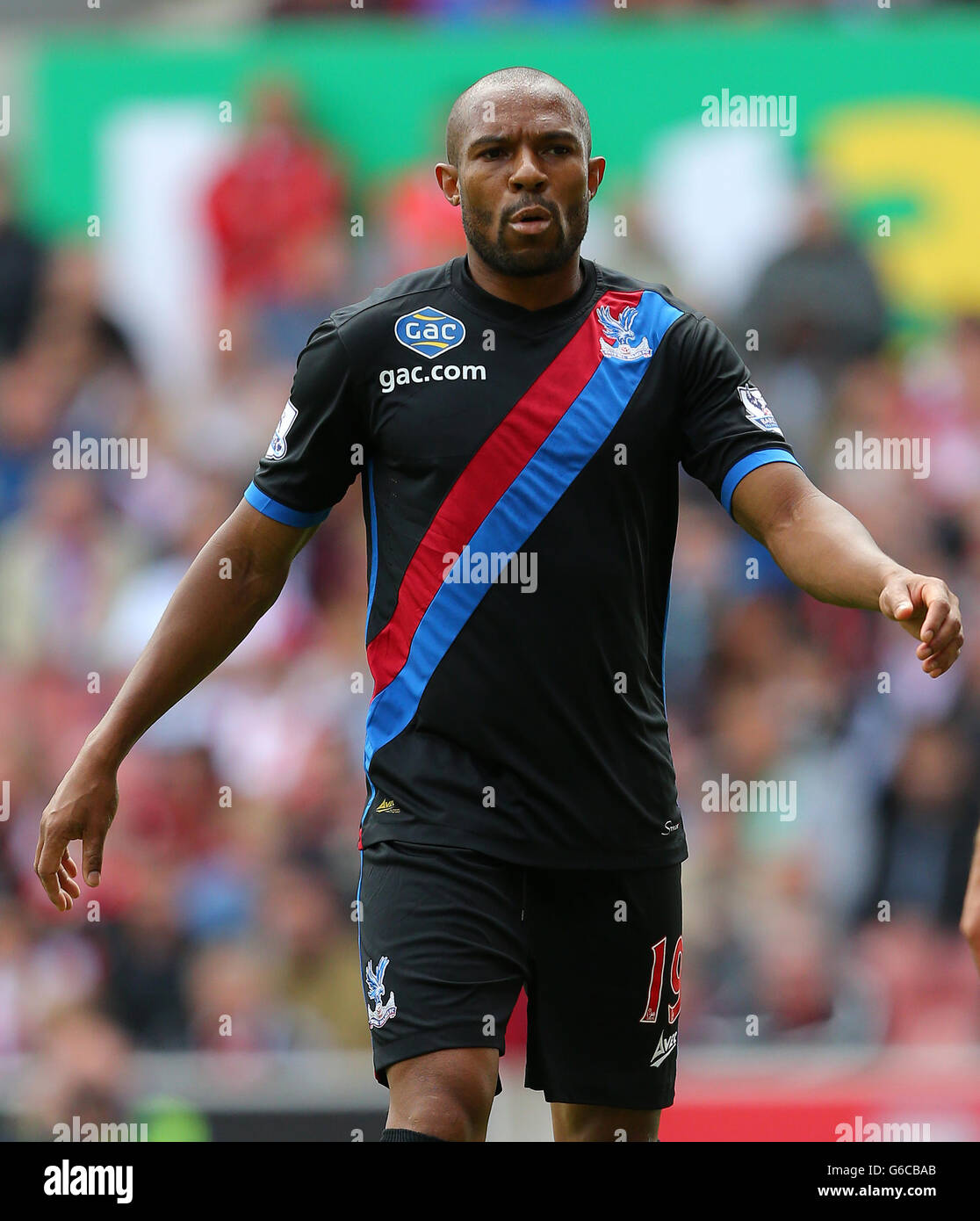 Crystal Palace's Danny Gabbidon during the Barclays Premier League ...