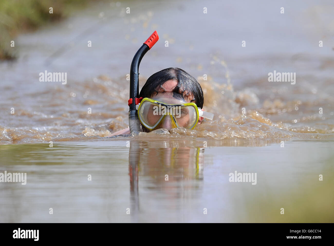 World Bog Snorkelling Championships 2013 Stock Photo - Alamy