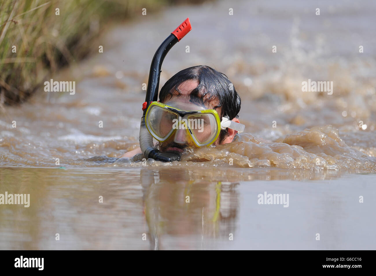 World Bog Snorkelling Championships 2013 Stock Photo - Alamy
