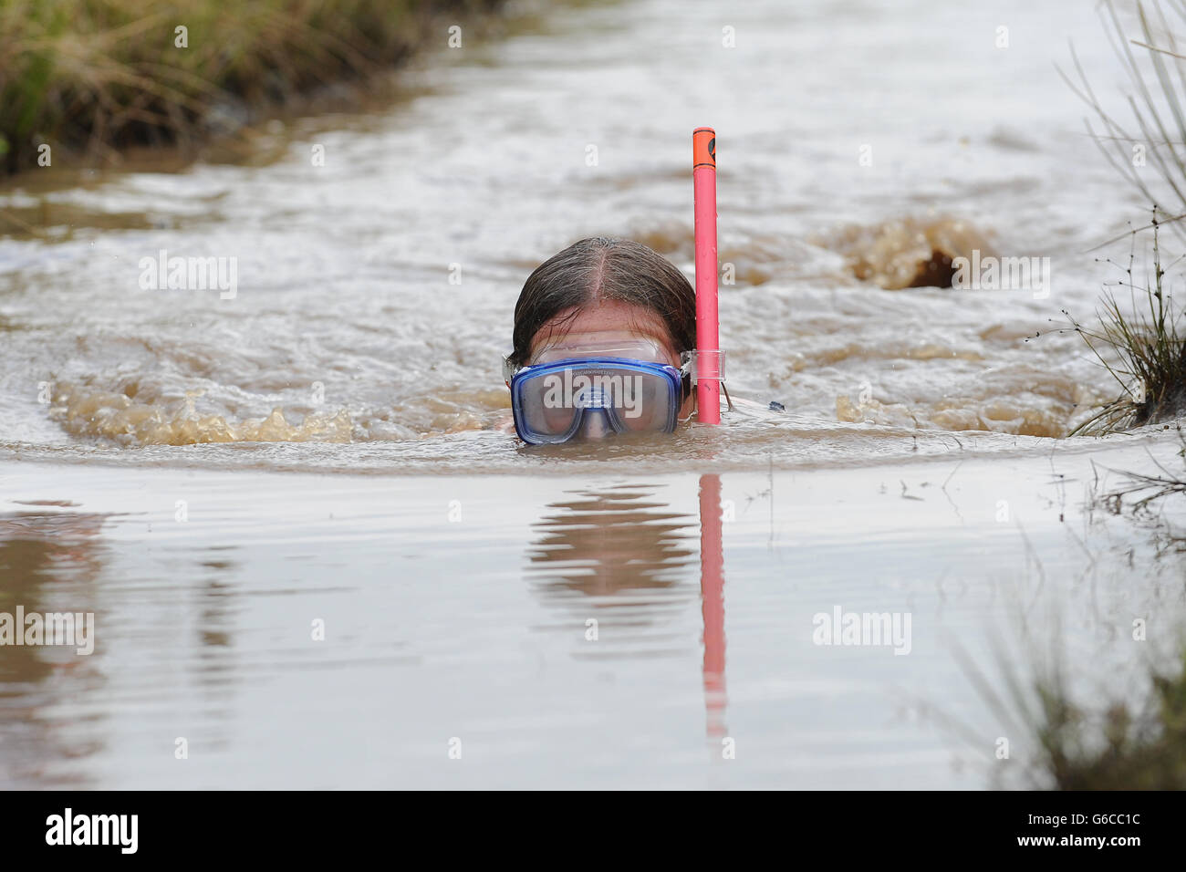 World Bog Snorkelling Championships 2013 Stock Photo - Alamy