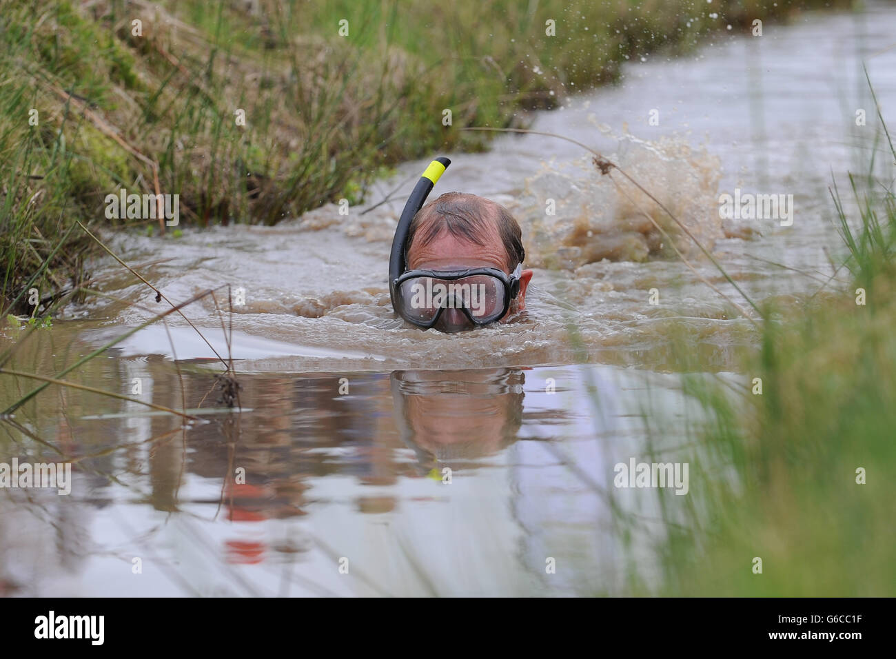 World Bog Snorkelling Championships 2013 Stock Photo - Alamy