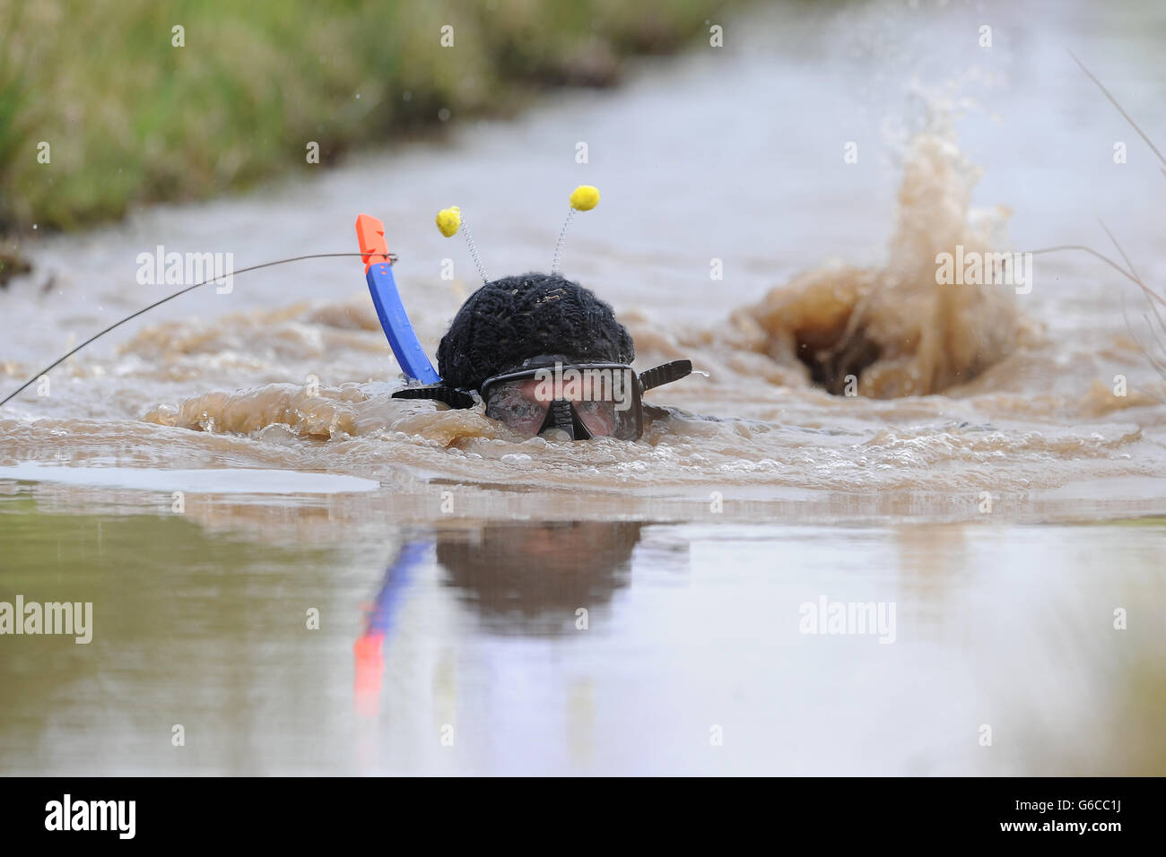 A competitor during the annual World Bog Snorkelling Championship which ...