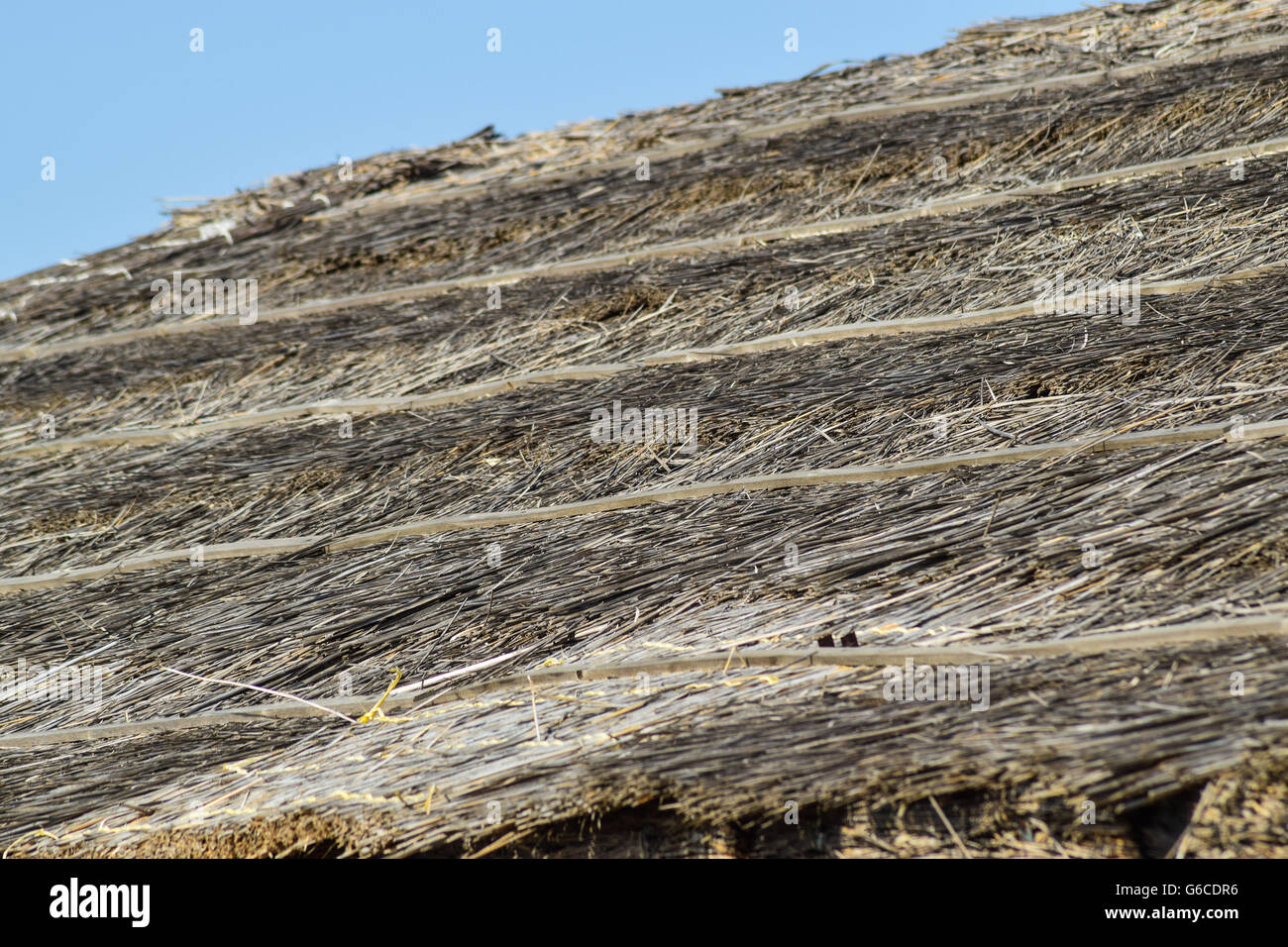 The slope of the roof of reeds and straw. Ancient building materials ...