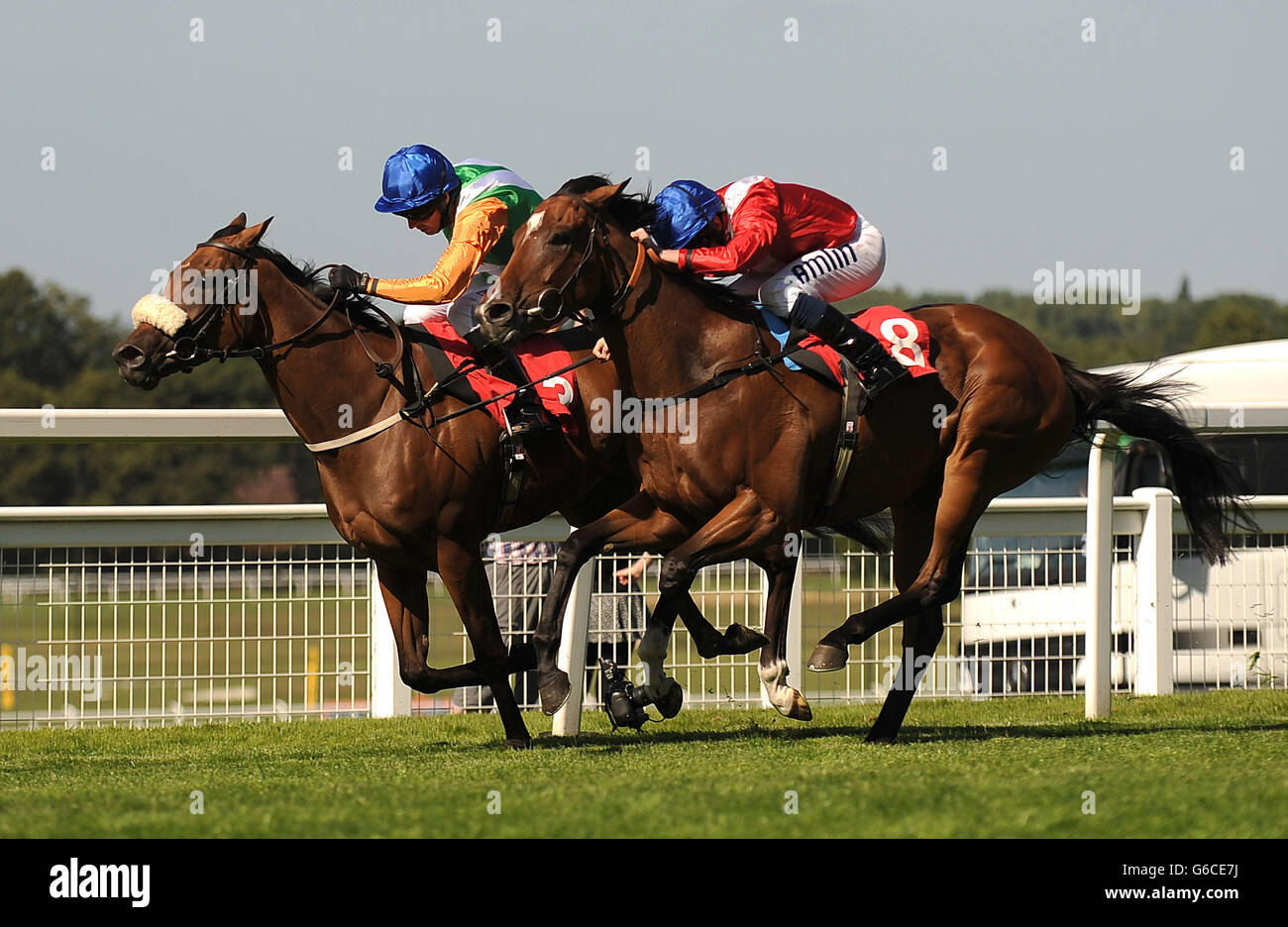 Hamilton park racecourse hi-res stock photography and images - Alamy