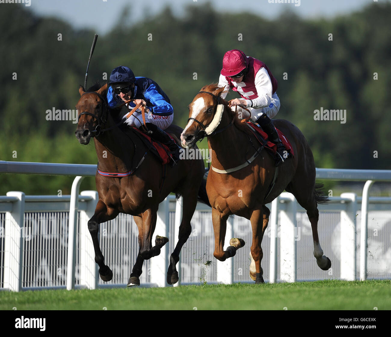 Betfred summer raceday hi-res stock photography and images - Alamy