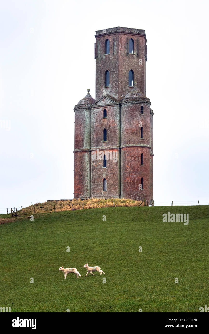 Horton Tower; Dorset; England; UK Stock Photo - Alamy