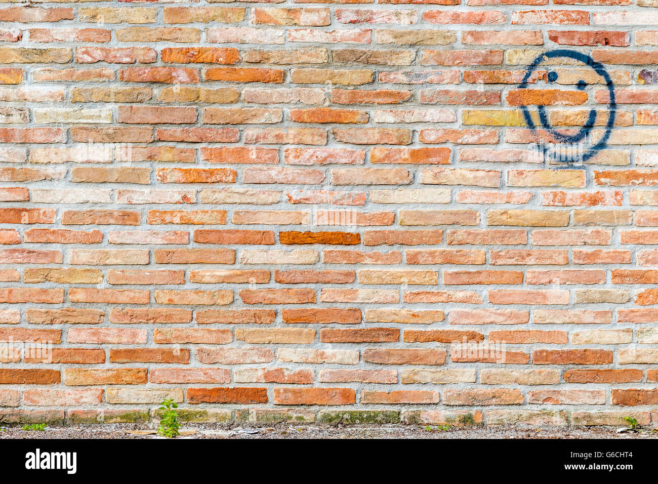 Smiley Head Brick Wall