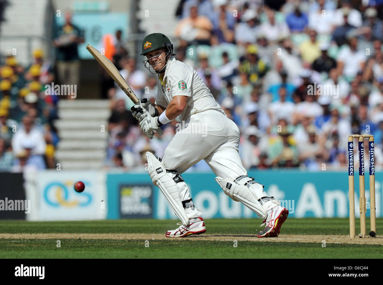 Australias shane watson bats hi-res stock photography and images - Alamy