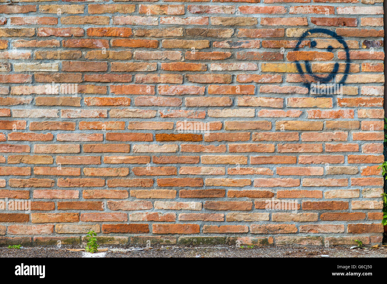 Smiley Head Brick Wall