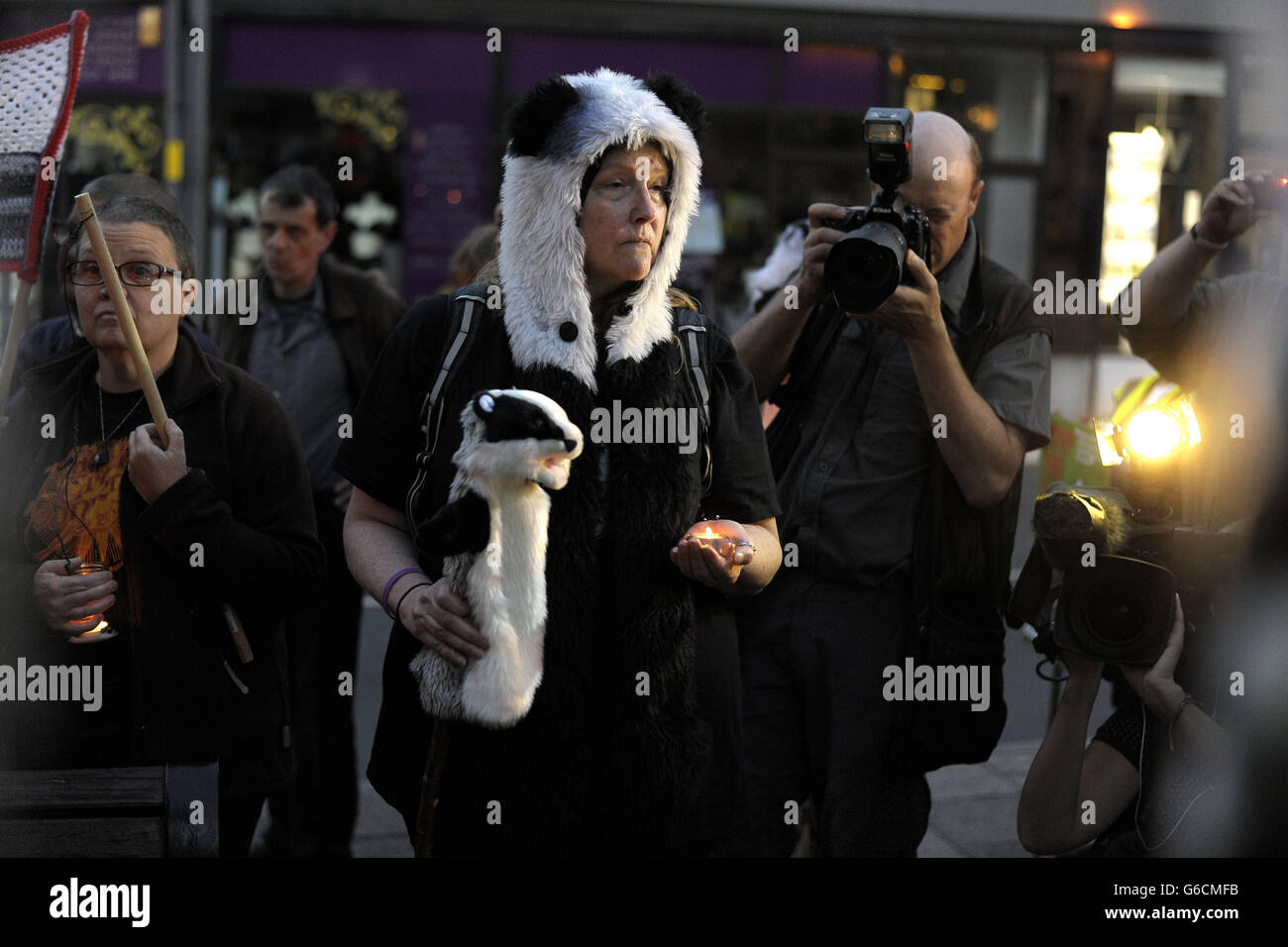 Badger cull protest Stock Photo - Alamy
