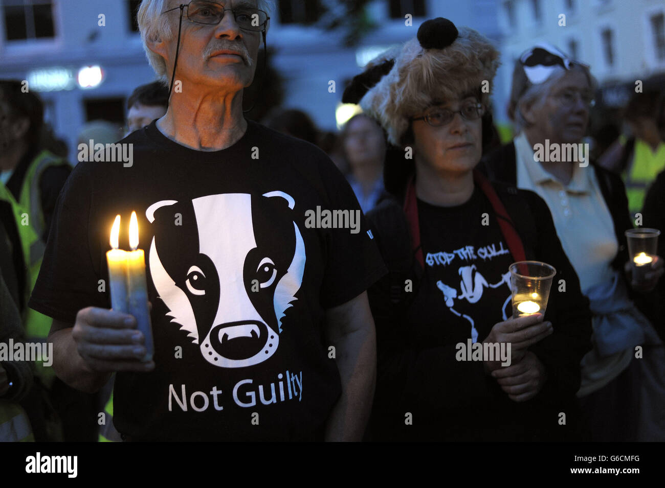 Badger cull protest Stock Photo - Alamy
