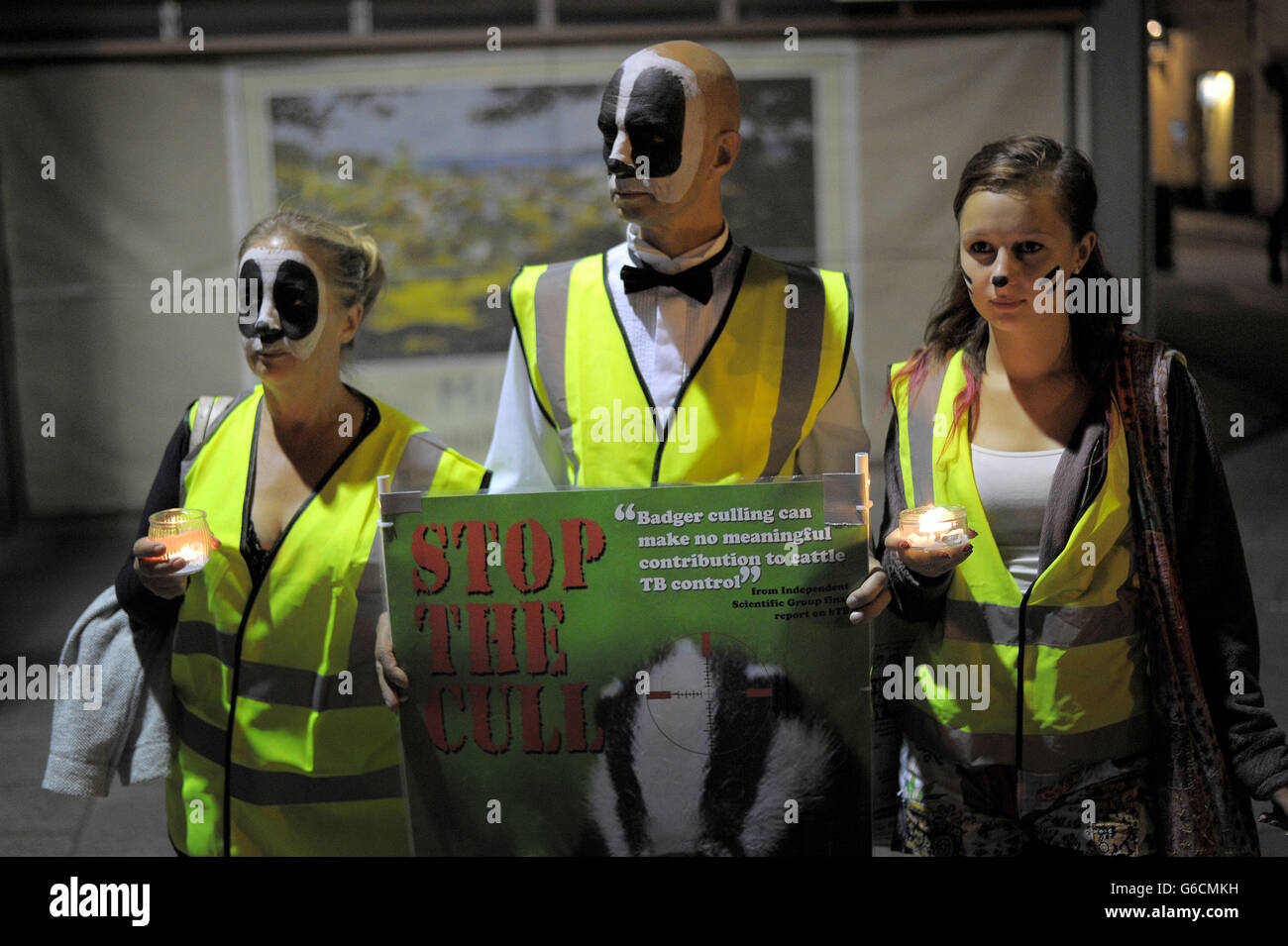 Badger cull protest Stock Photo - Alamy