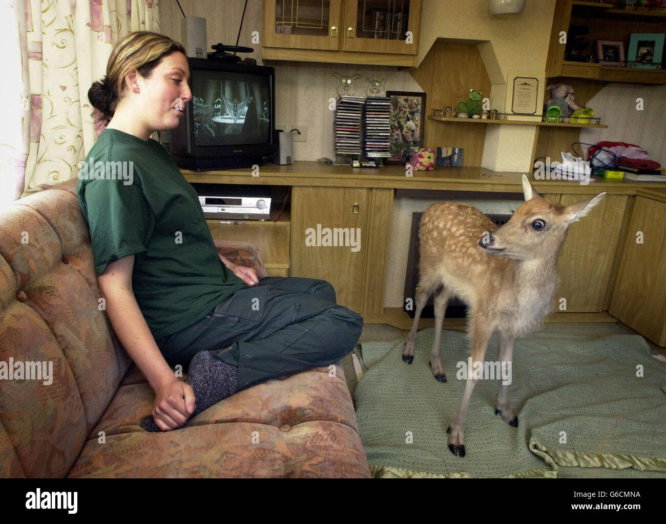 Animal keeper Carolyn Morrison with the five week old Pere David deer ...