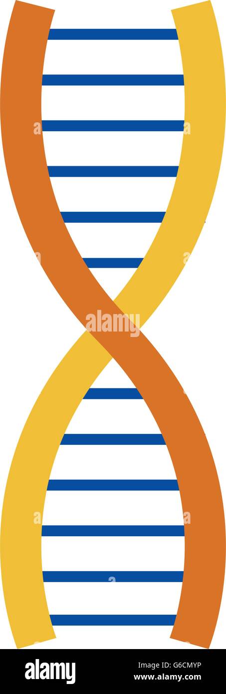 dna strand icon Stock Vector Image & Art - Alamy