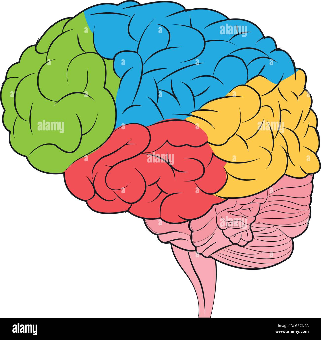 human brain icon Stock Vector Image & Art - Alamy