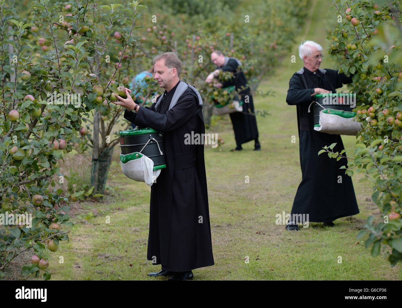 Father Wulstan (left), Father Matthew and Father Kieran pick apples in ...