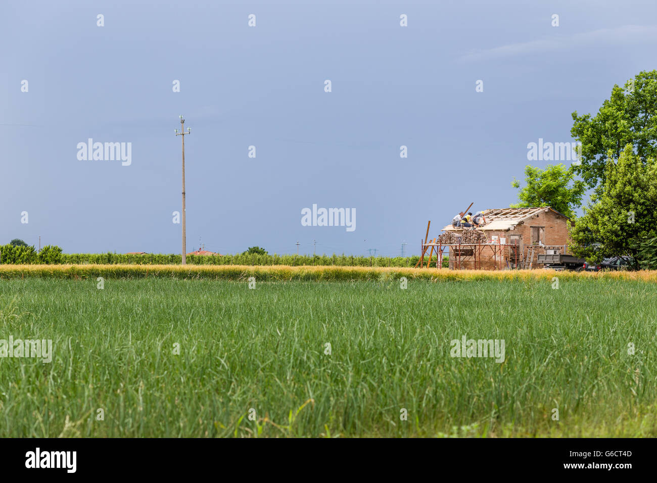 carpenters build the roof of a shed the Italian countryside Stock Photo ...