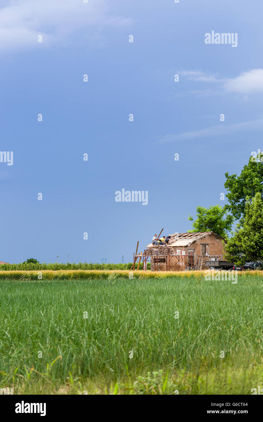 carpenters build the roof of a shed the Italian countryside Stock Photo ...