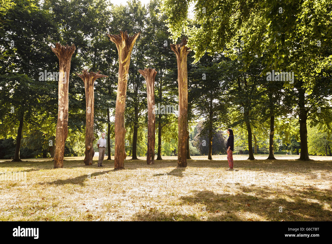 Gilded trees at Mottisfont Stock Photo - Alamy