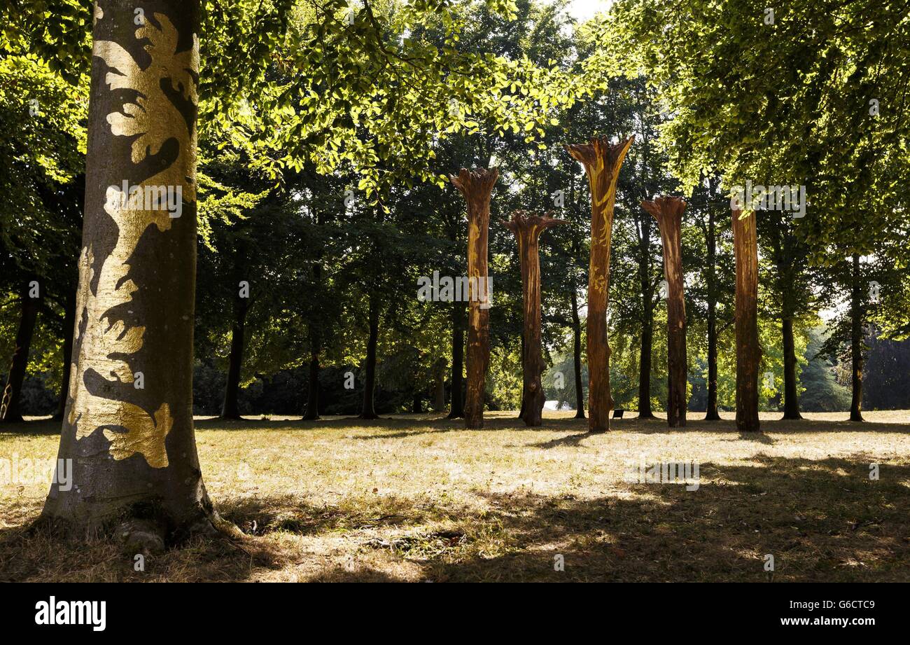 Gilded trees at Mottisfont Stock Photo - Alamy