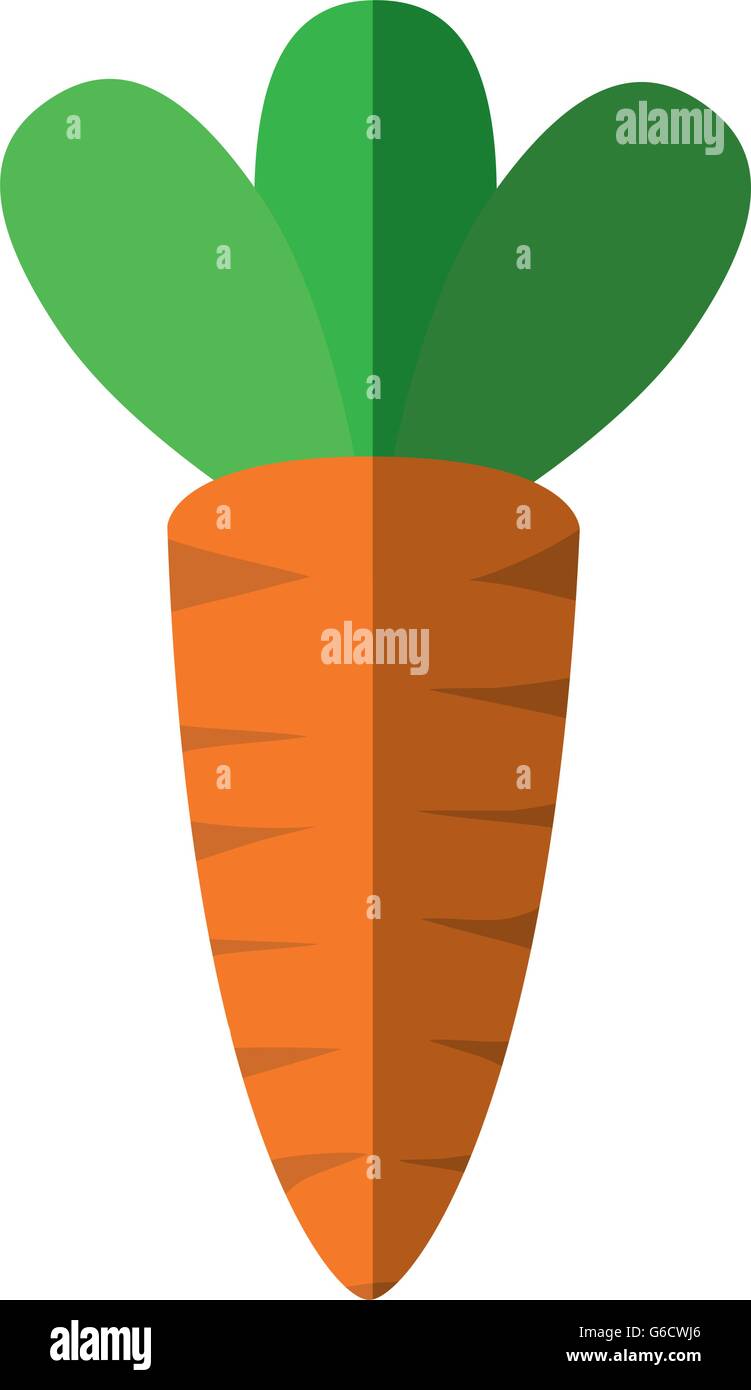 carrot icon. Organic and healthy food. vector graphic Stock Vector ...