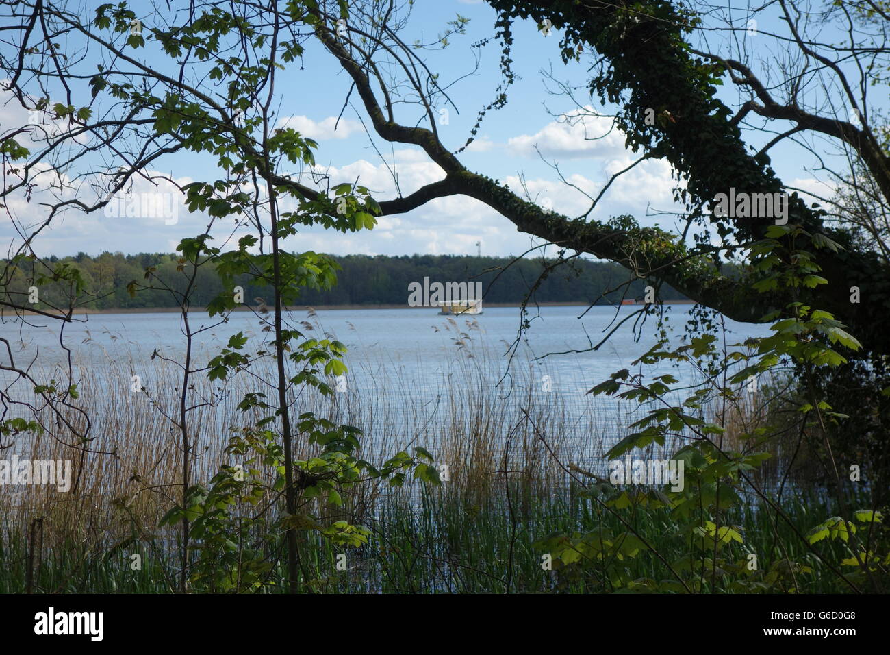 See ruppin hi-res stock photography and images - Alamy