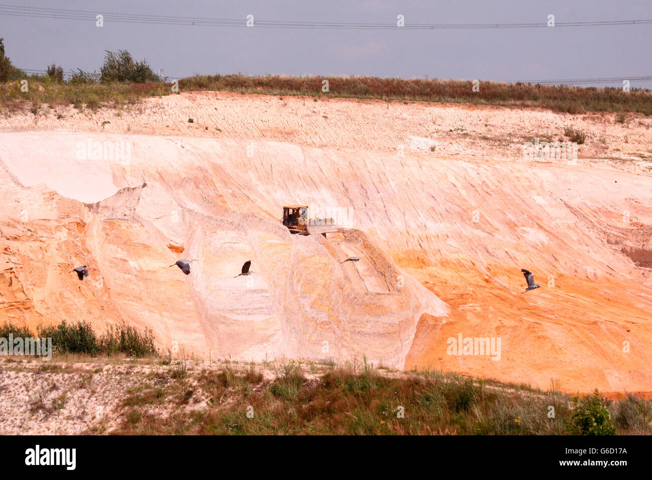Gravel pit birds hi-res stock photography and images - Alamy