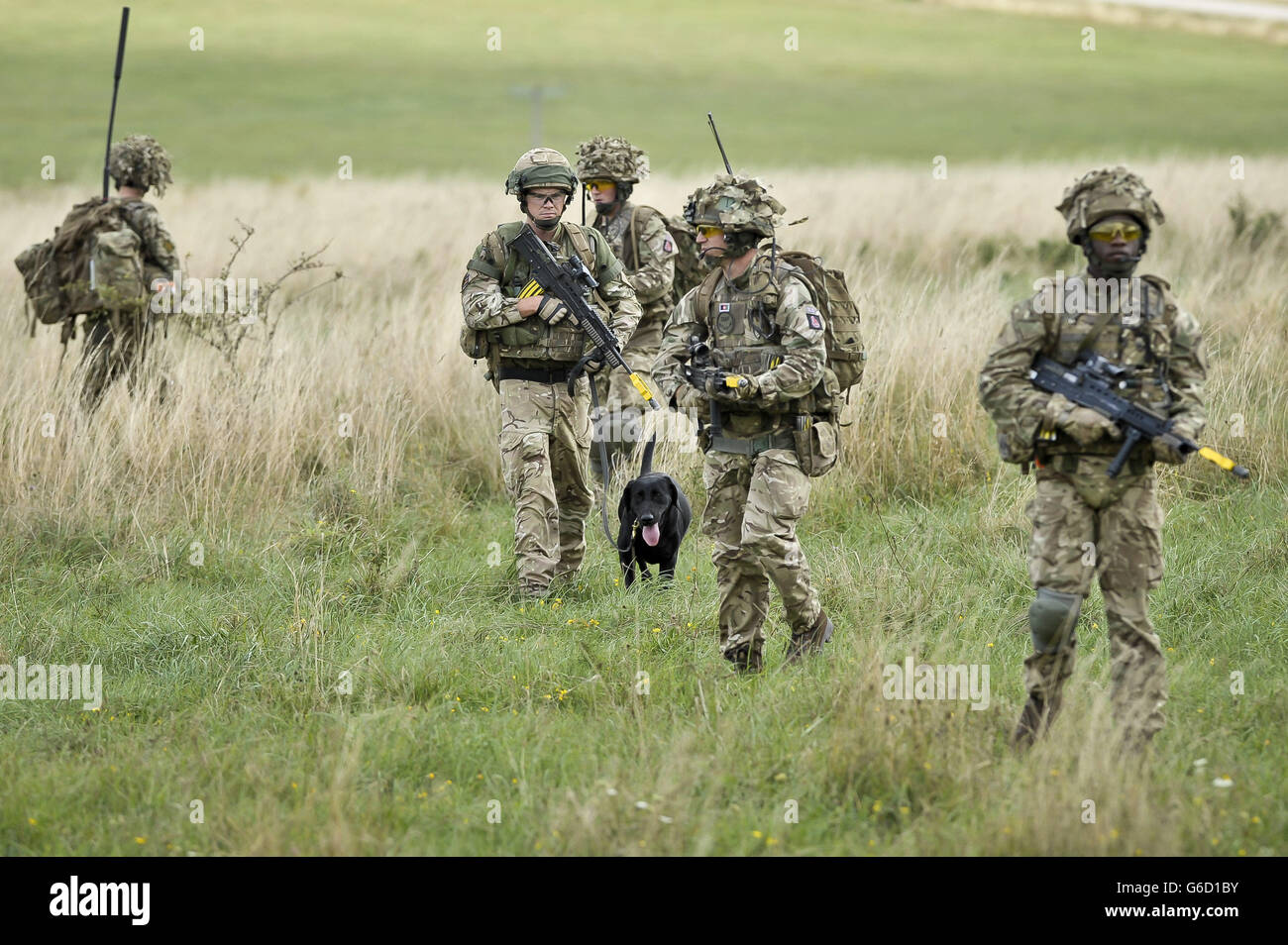 Military working dog Tonic the five-year-old black Labrador joins his ...