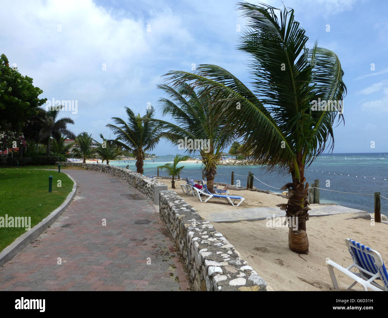 Gardens jamaica hi-res stock photography and images - Alamy
