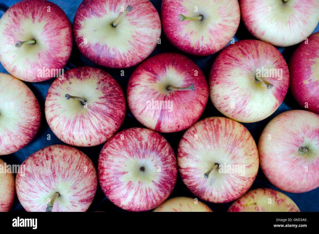Background of lots of apples taken from above Stock Photo - Alamy
