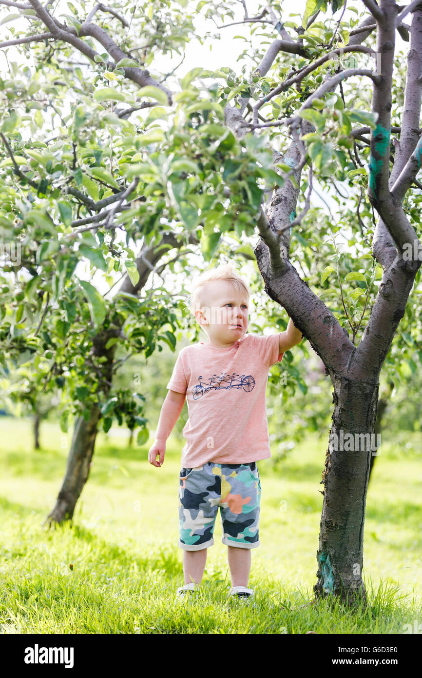 angry boy in park Stock Photo - Alamy